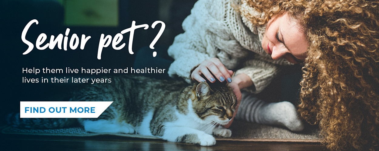 Alder Vets | Vets in Guildford, Surrey